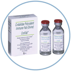 Venomous Snakebites 101 • Pre-Hospital Care + Treatment