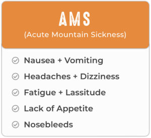 High Altitude Illnesses 101 – Treating AMS • HACE • HAPE