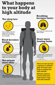 Oxygen Levels @ Altitude 101 | Center For Wilderness Safety