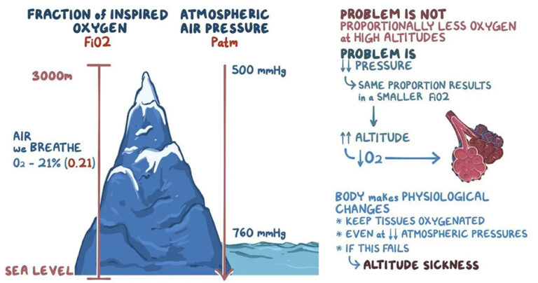 Altitude Acclimatization | Center For Wilderness Safety